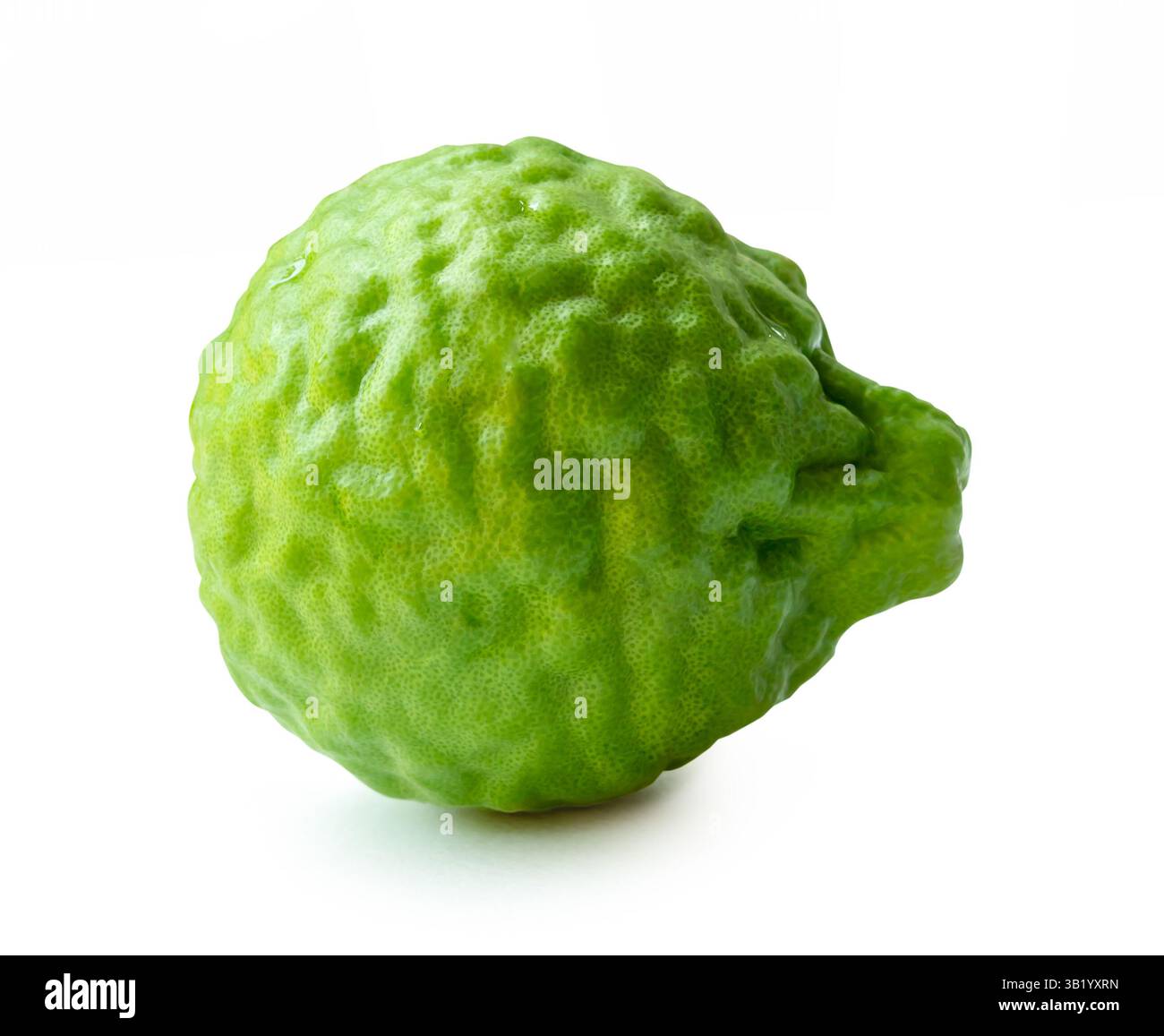 Single fresh green bergamot fruit or kaffir lime is isolated on white ...