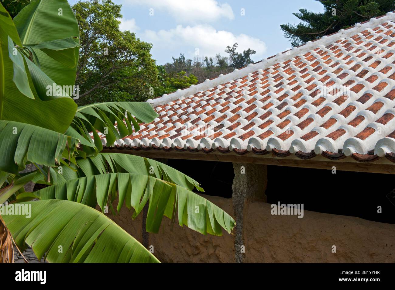 Traditional Okinawan historical residence with ceramic roof tiles and broad overhangs at the ...