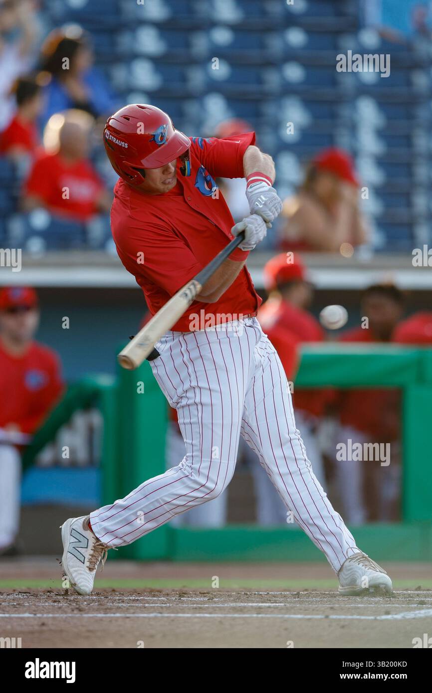 Clearwater FL USA; Clearwater Threshers designated hitter Joel Dragoo ...