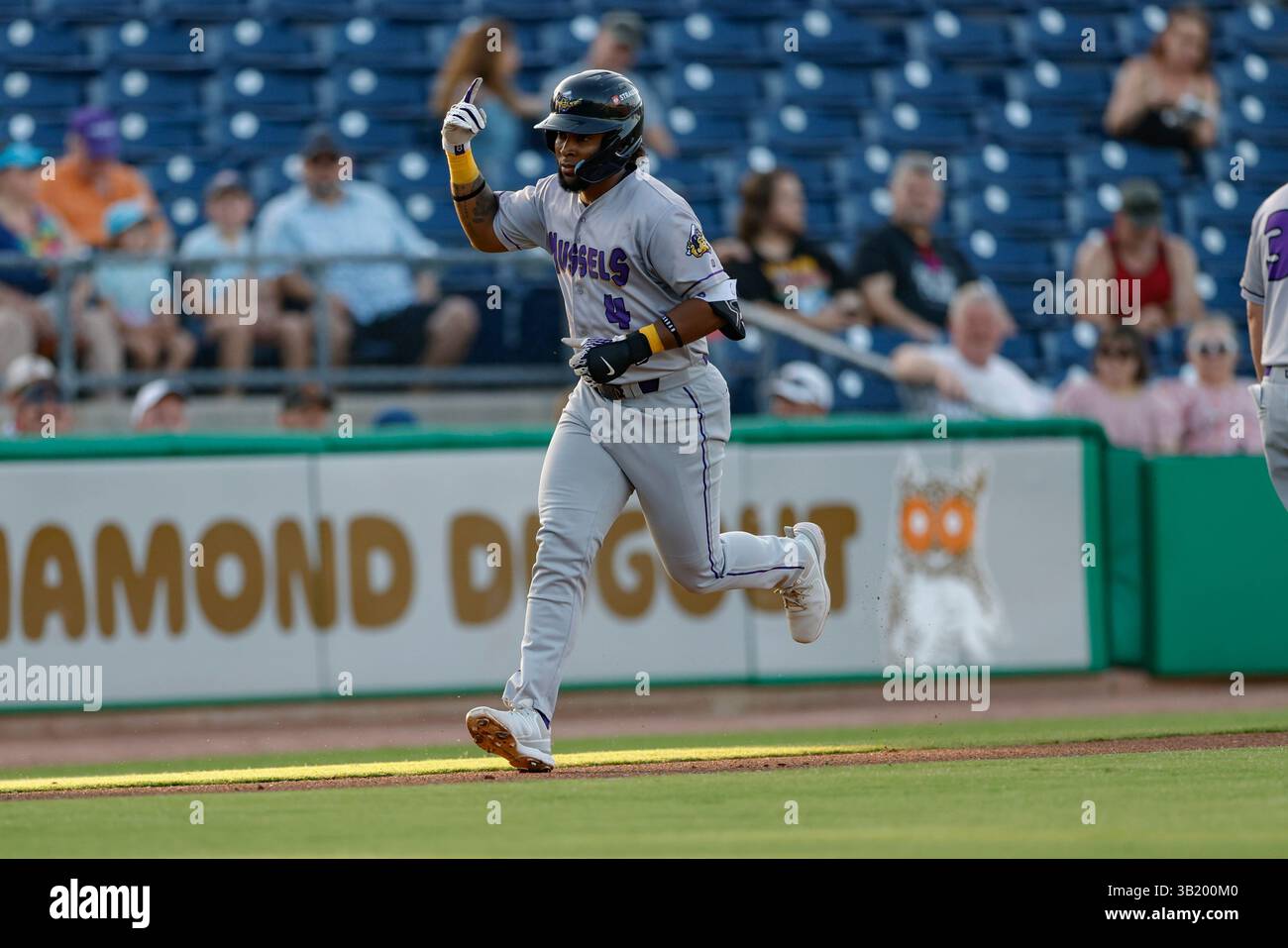 Clearwater FL USA; Fort Myers Mighty Mussels third base Yohander ...