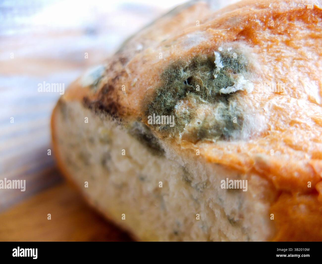 Mold growing on a loaf of bread, mold, brown spots, mold Stock Photo ...