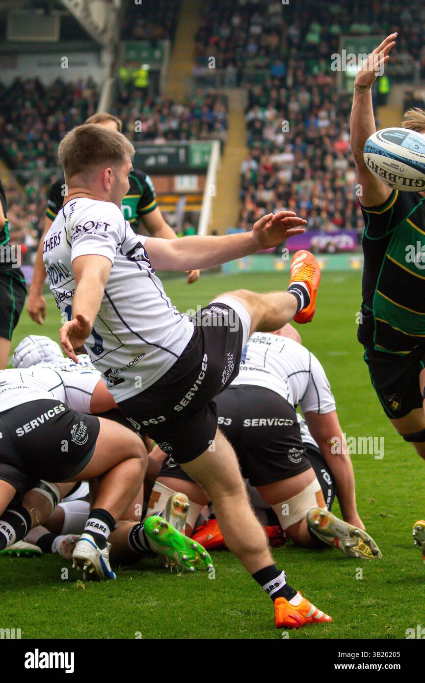 Northampton, UK, 26th April 2025 Bears scrum half Harry Randall box ...