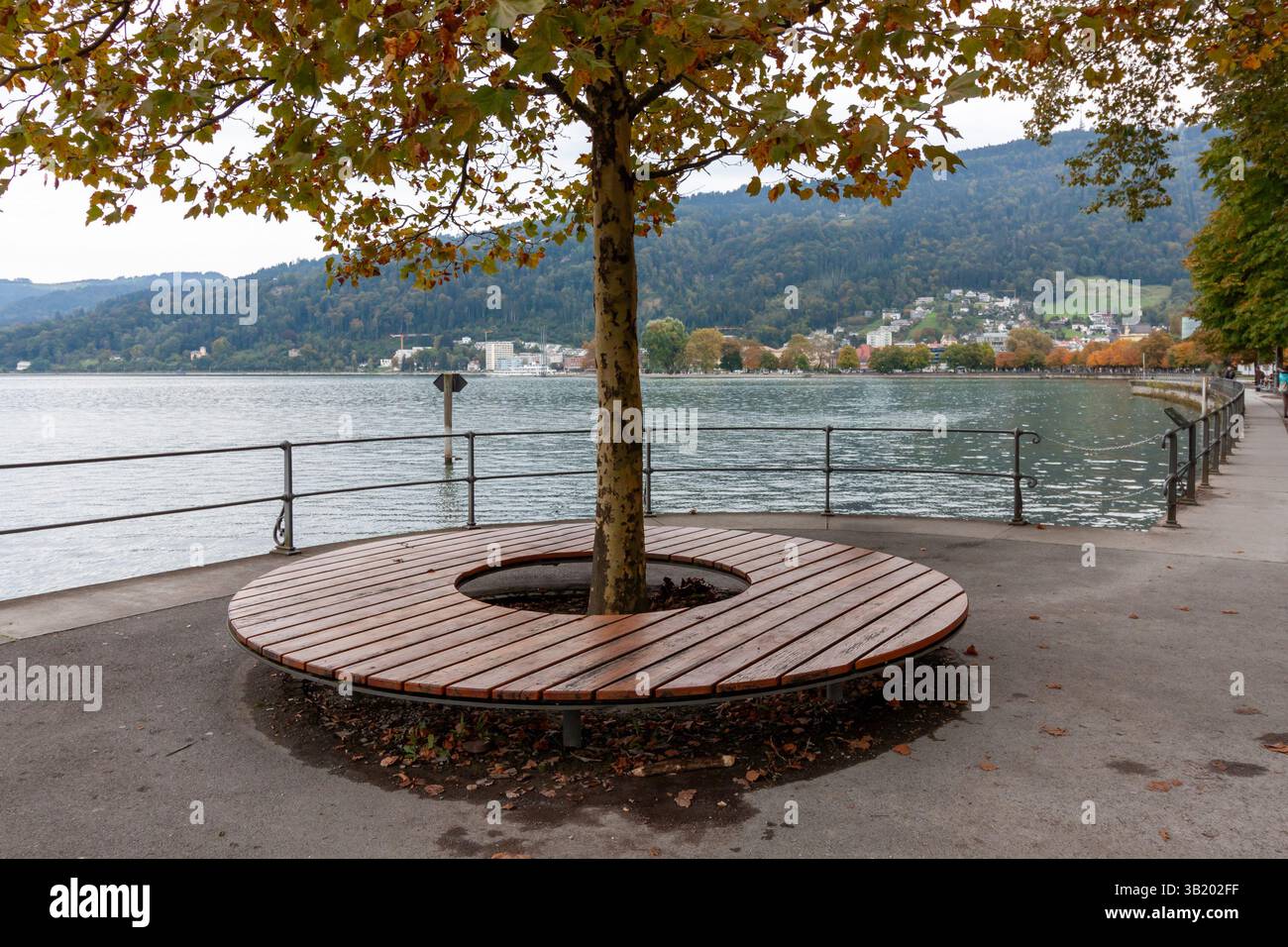 Circular wooden bench around a tree overlooking Lake Constance in ...