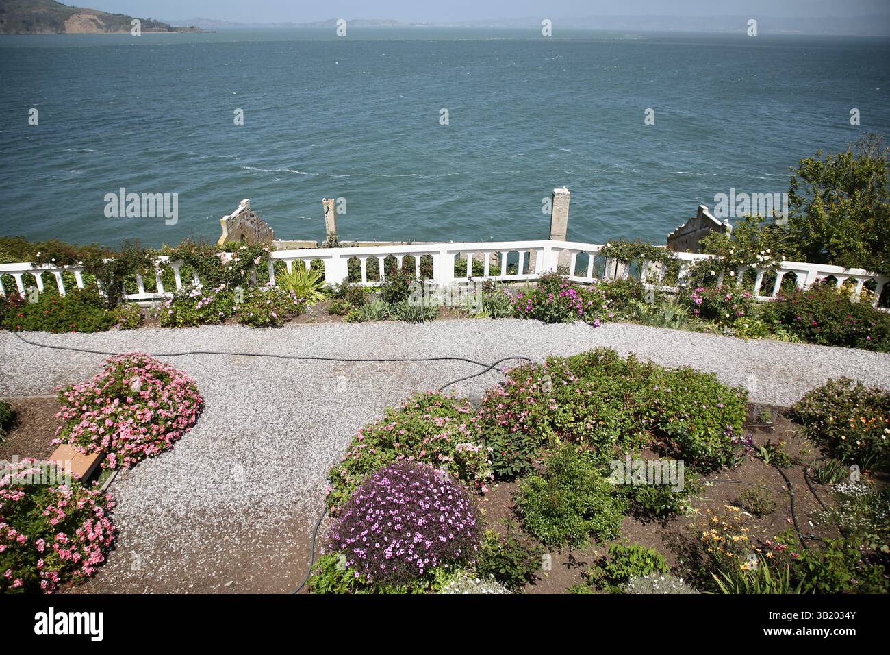 San Francisco, California, USA. 23rd Apr, 2025. Alcatraz' gardens are ...