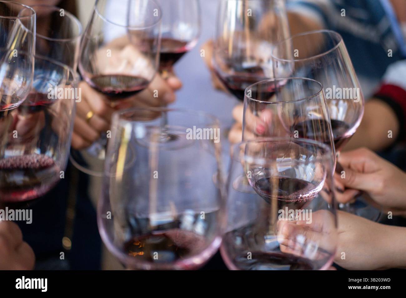A group of people raise a toast with glasses of red wine Stock Photo ...