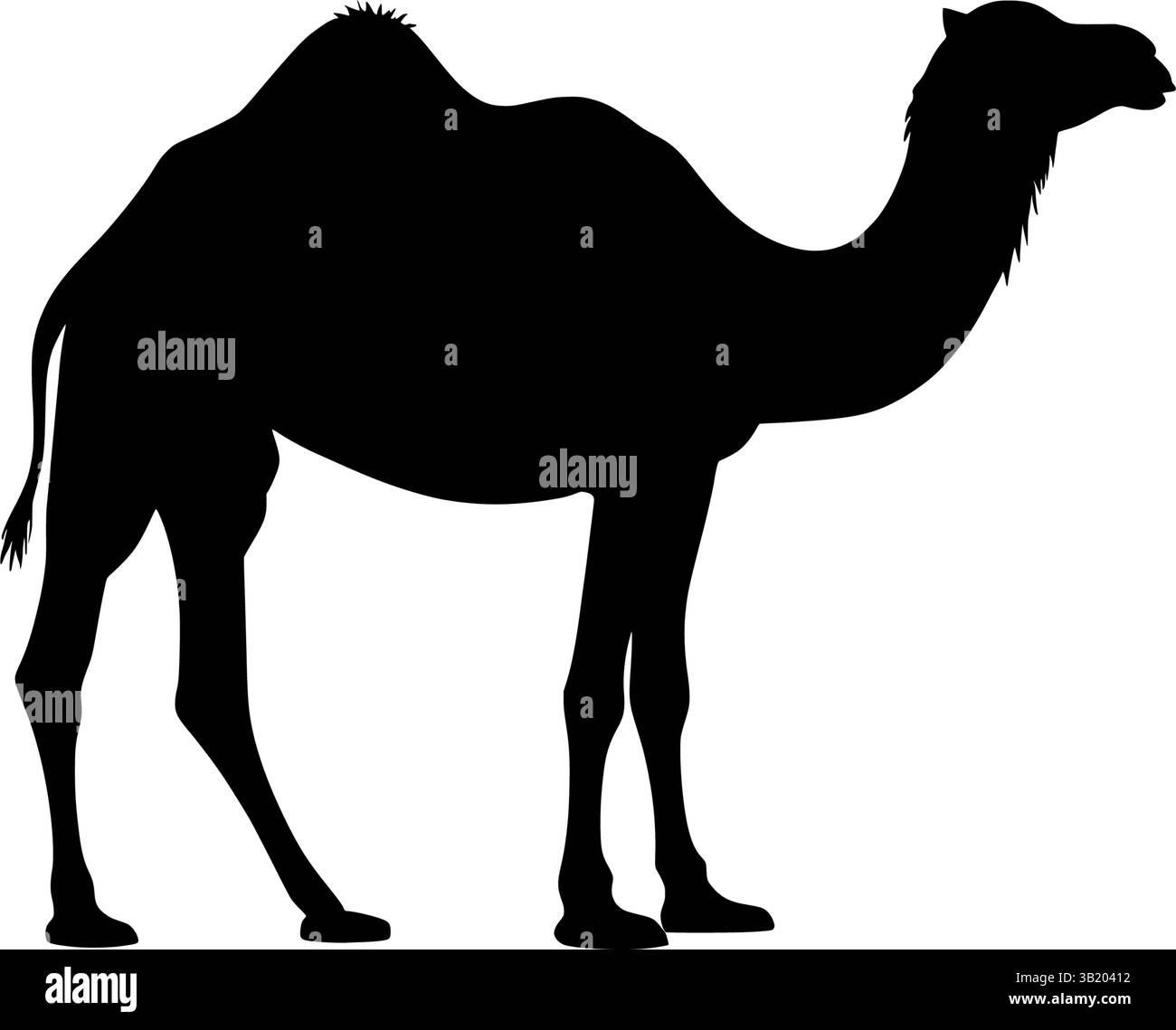 Camel silhouette vector illustration desert animal outline graphic ...