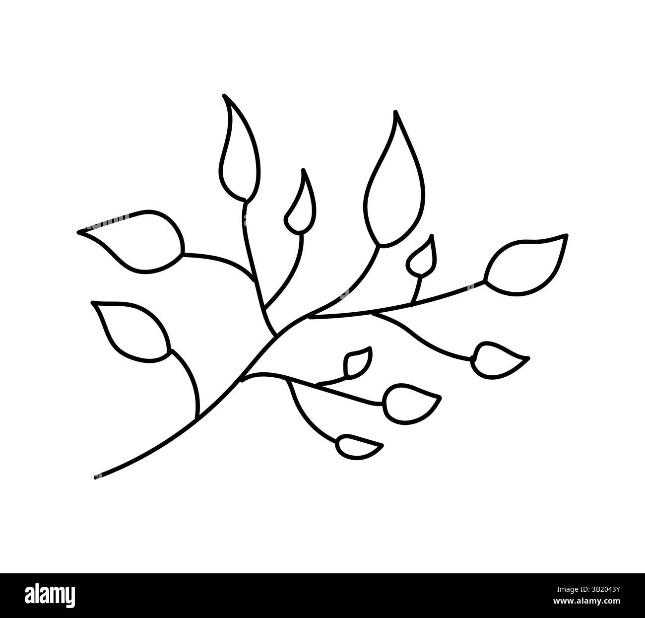Minimalist Leaf Branches Line Art, Botanical Outline Illustration Stock ...