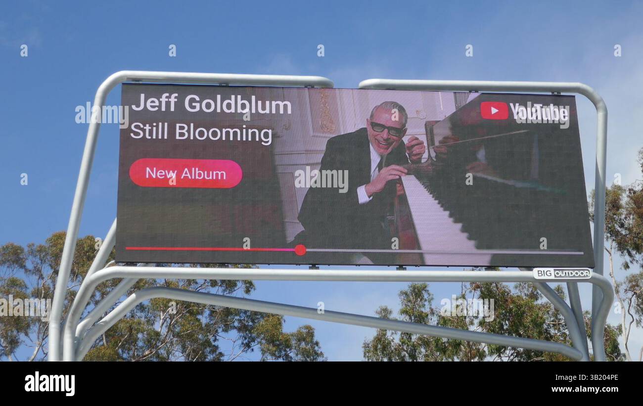 Los Angeles, California, USA 26th April 2025 Jeff Goldblum Still Blooming New Album YouTube ...