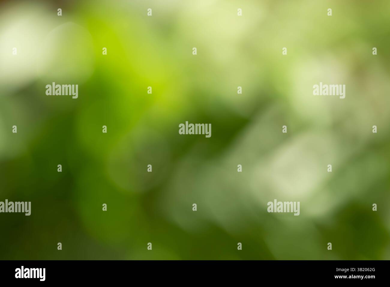 Abstract green blur background. May be use for presentations, creative ...