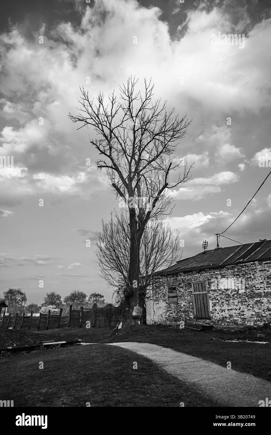 Rugged grainy Black and White Stock Photos & Images - Alamy