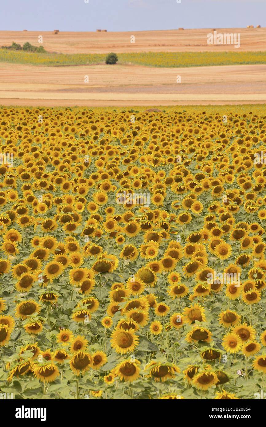 Photo Picture Scenic photography landscape European natural countryside ...