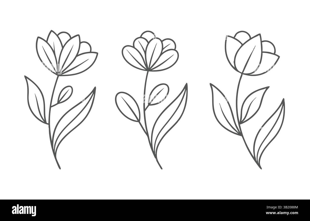 Elegant Rose Line Art Animation: Minimalist Floral Design for ...