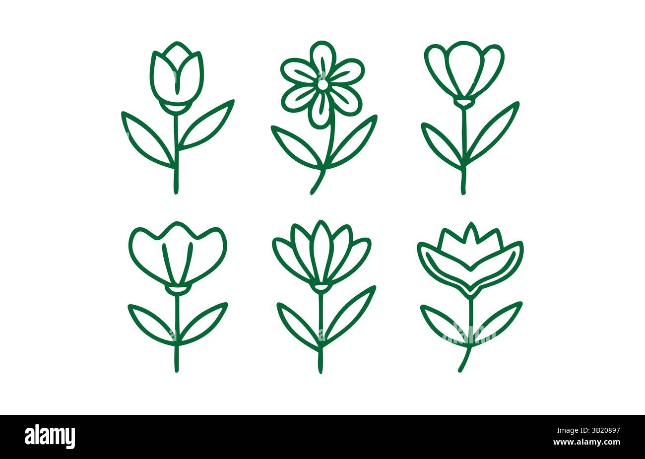 Elegant Rose Line Art Animation: Minimalist Floral Design for ...