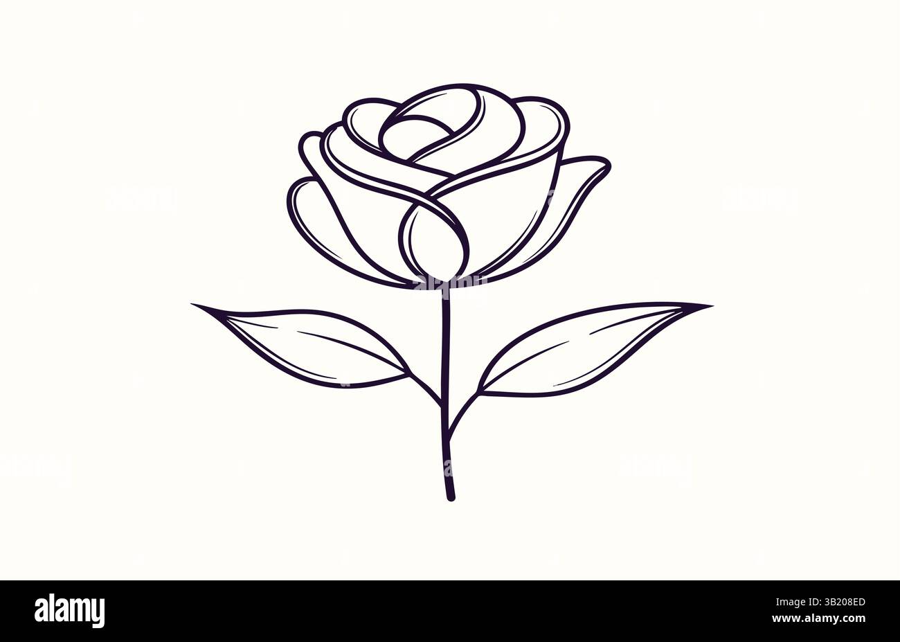 Elegant Rose Line Art Animation: Minimalist Floral Design for ...