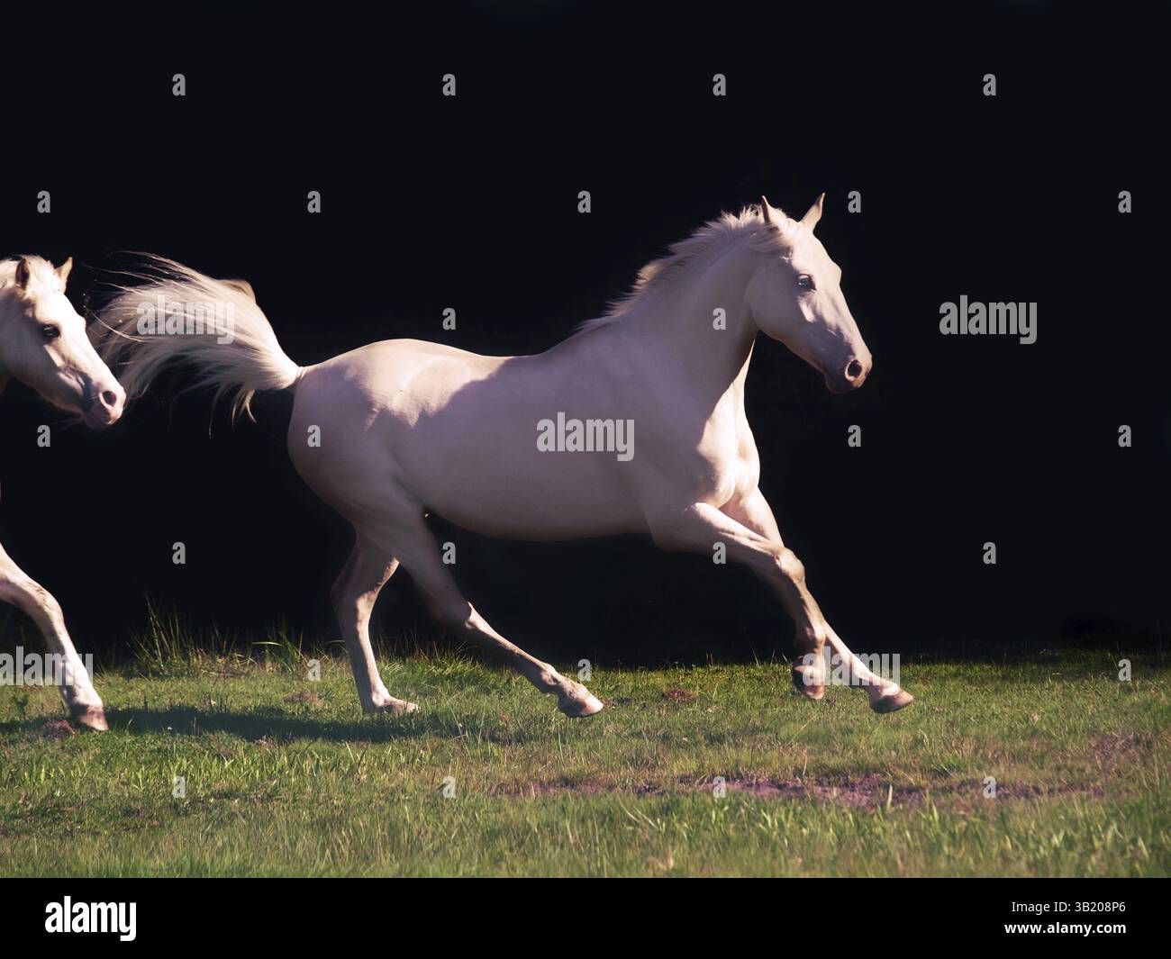 Black athlete running on hi-res stock photography and images - Alamy