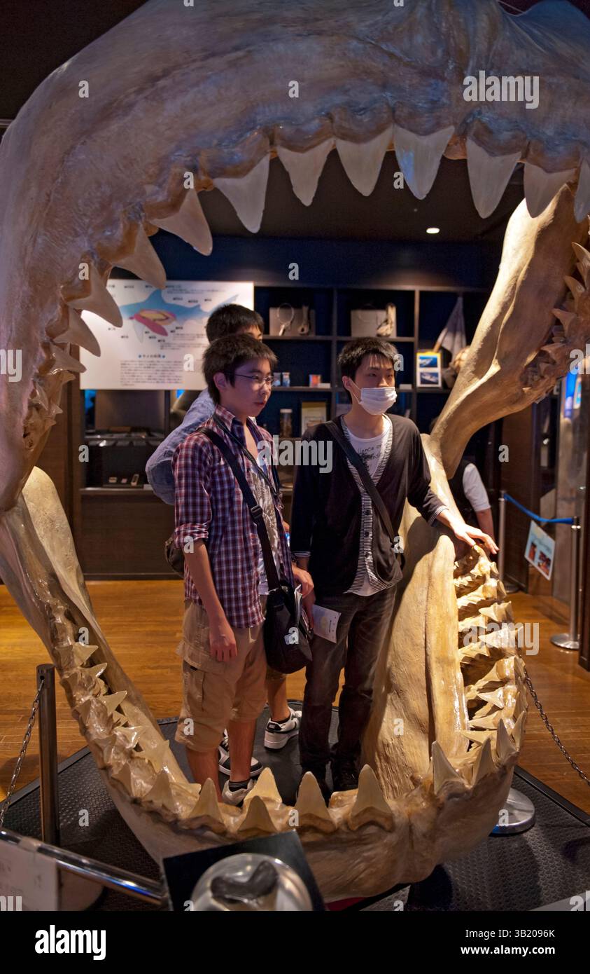 Visitors to the Okinawa Churaumi Aquarium stand inside the giant jaw ...