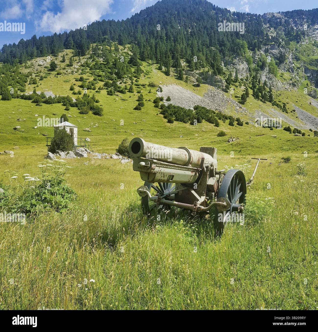 Old cannon in field, photo as a background, digital image Stock Photo ...