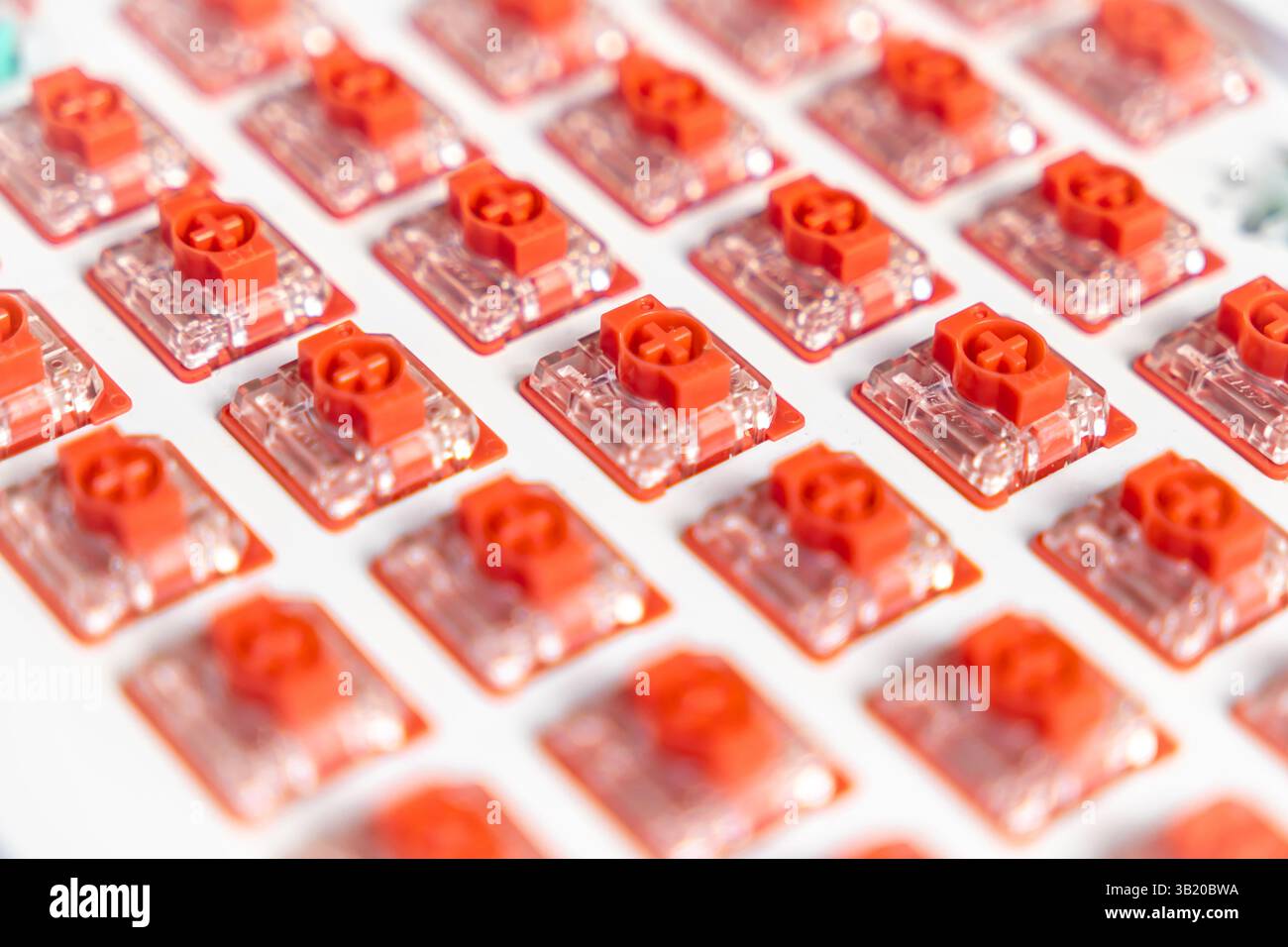 Close-up shot of transparent red mechanical keyboard switches aligned ...