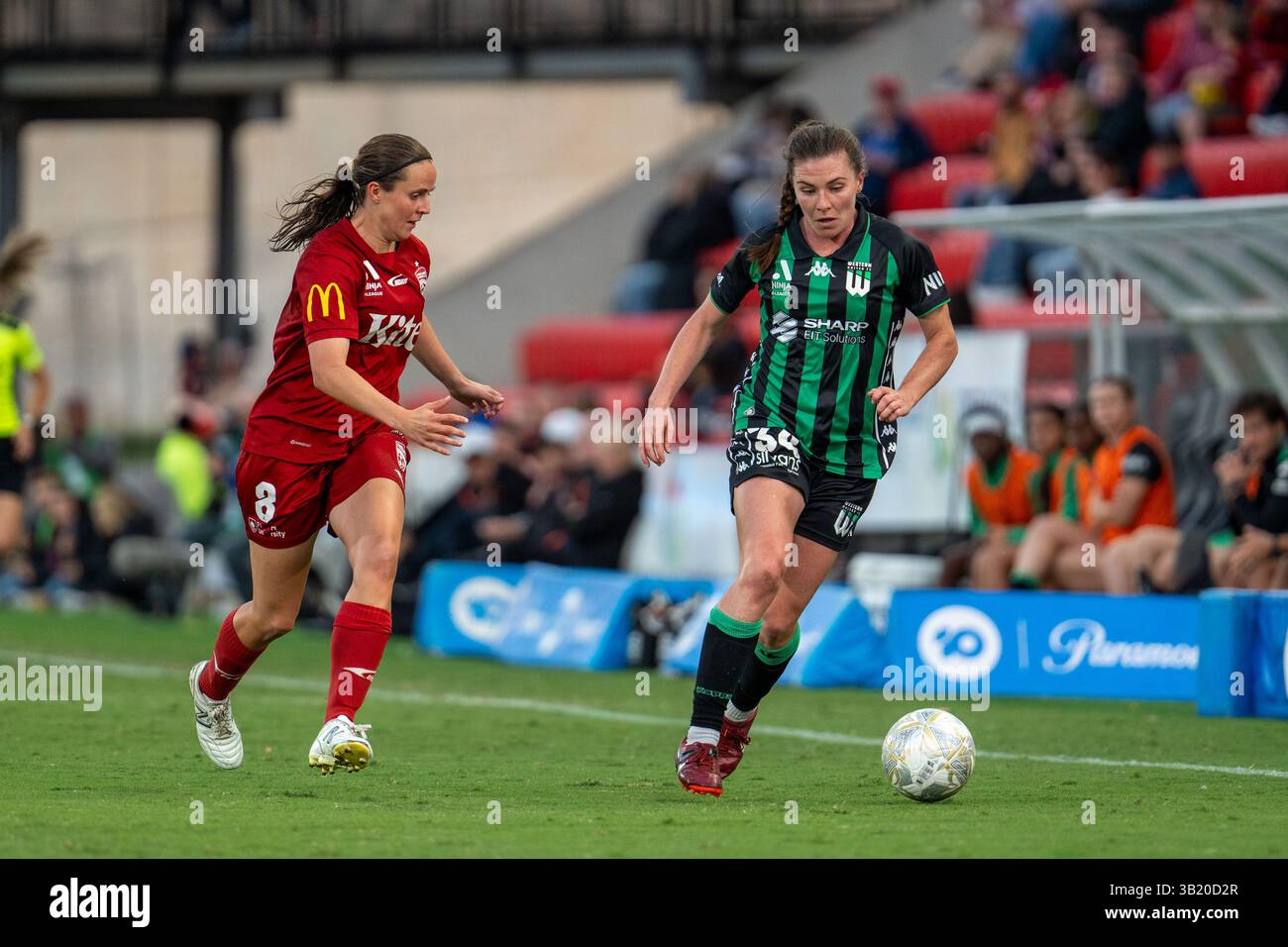 Emily zimmerman hi-res stock photography and images - Alamy