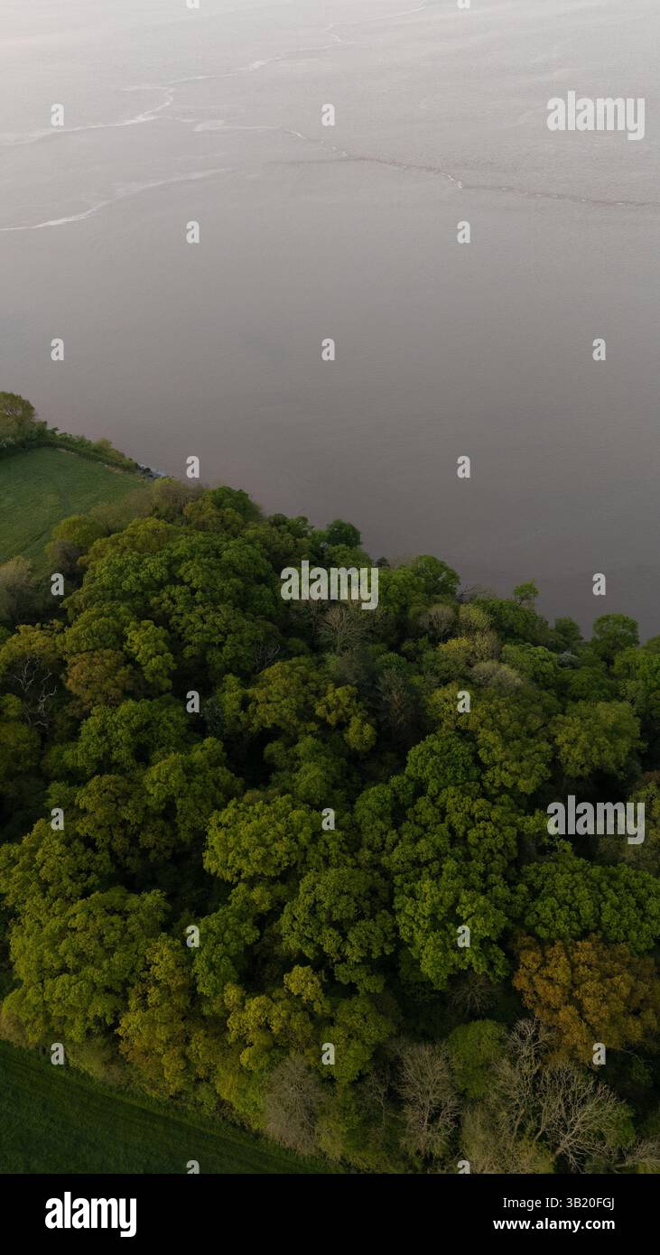 Arlingham hi-res stock photography and images - Alamy