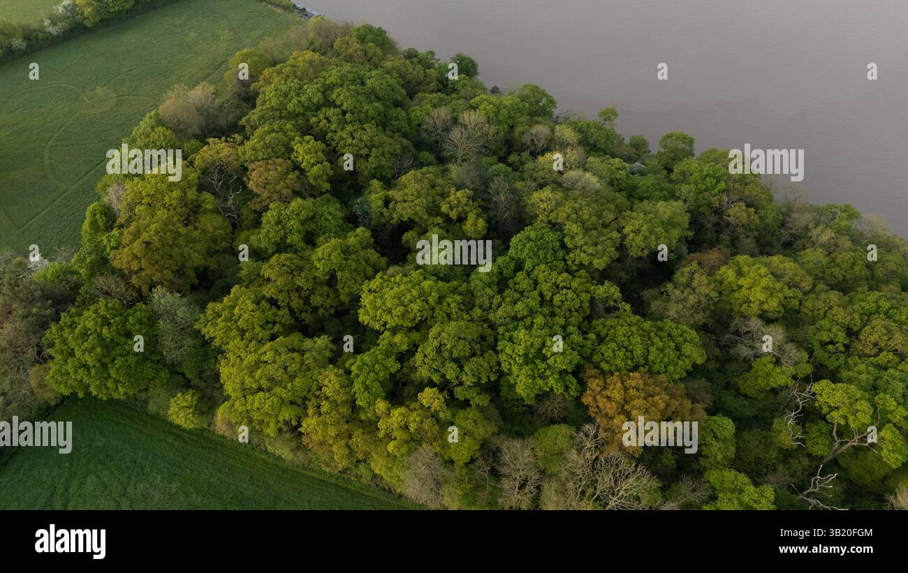 Arlingham gloucestershire hi-res stock photography and images - Alamy