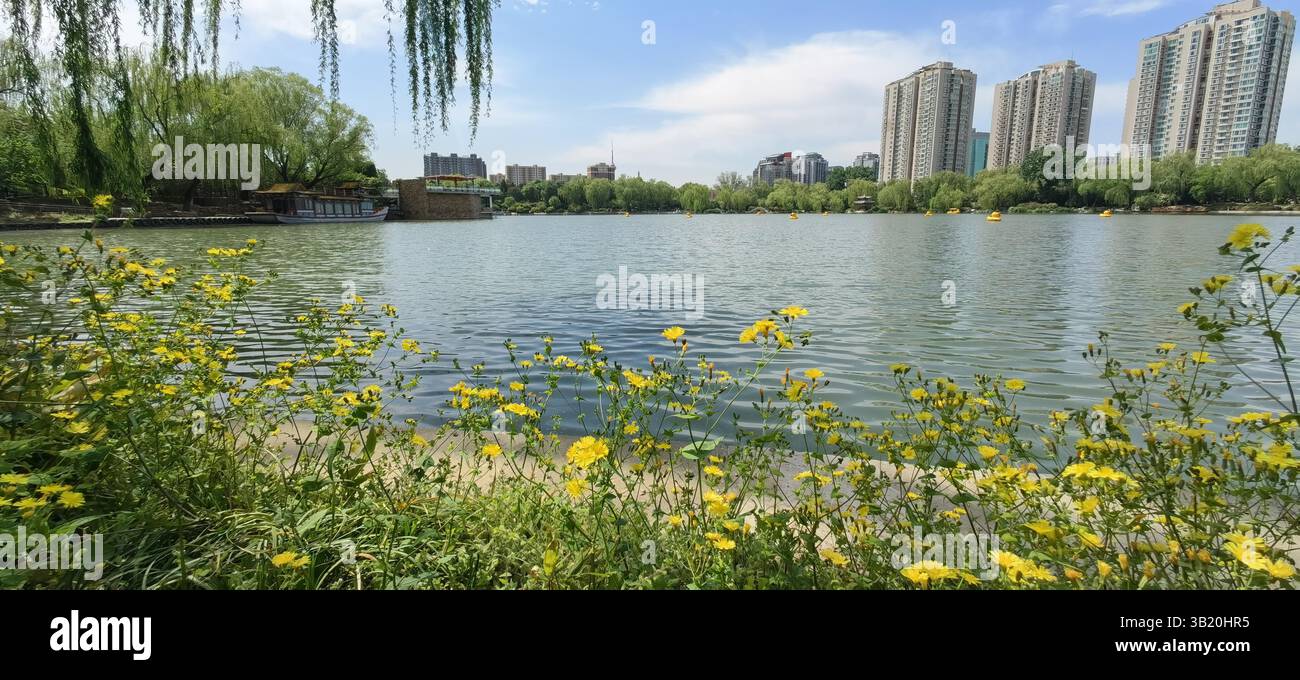 Spring scenery of the Purple Bamboo Park in Beijing, China, 25 April ...