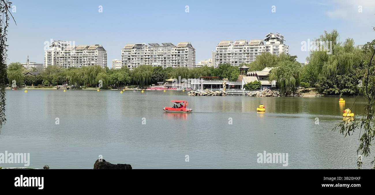 Spring scenery of the Purple Bamboo Park in Beijing, China, 25 April ...
