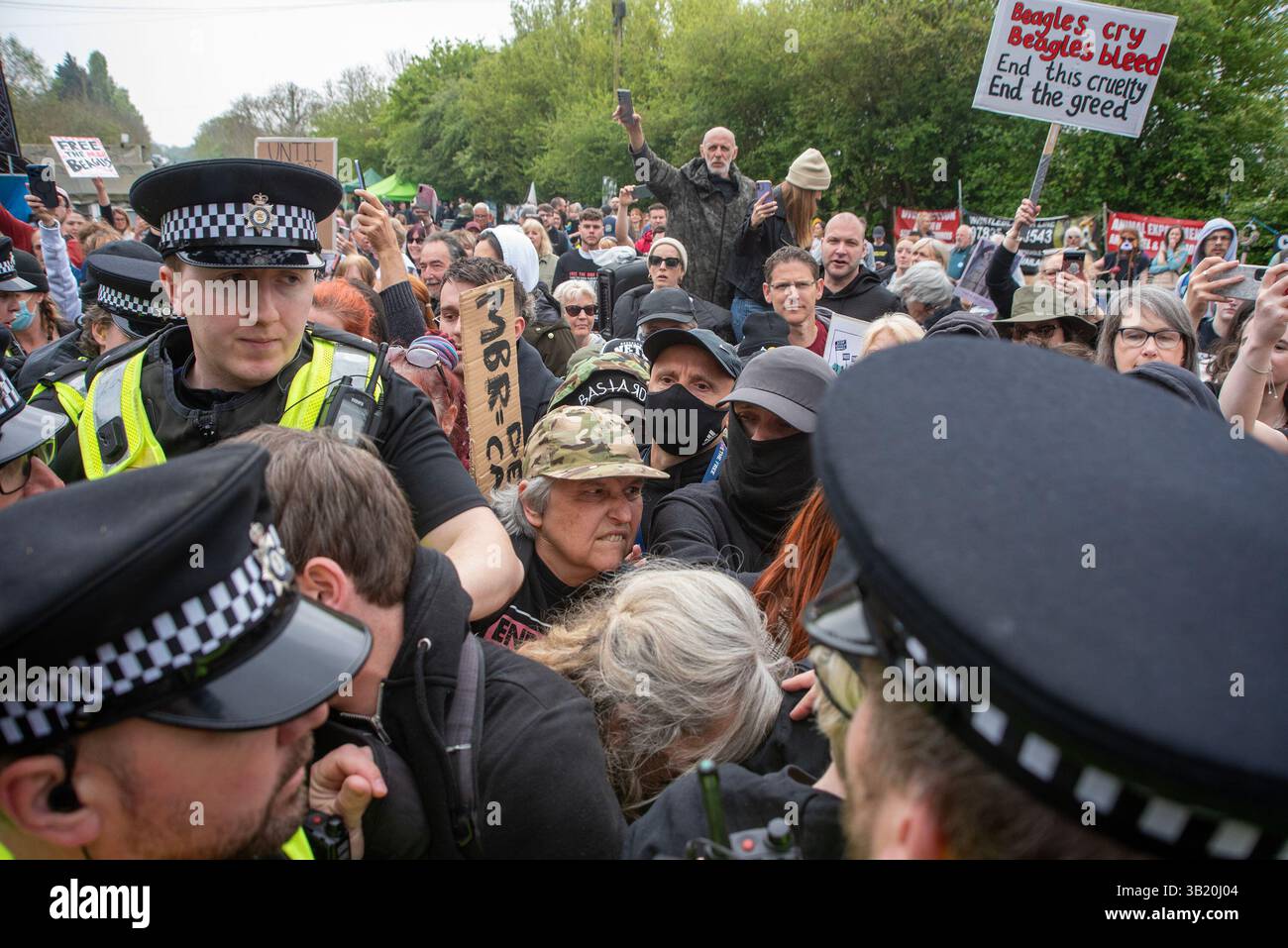 Huntingdon, UK. 26th Apr, 2025. Protesters clash with the police during ...