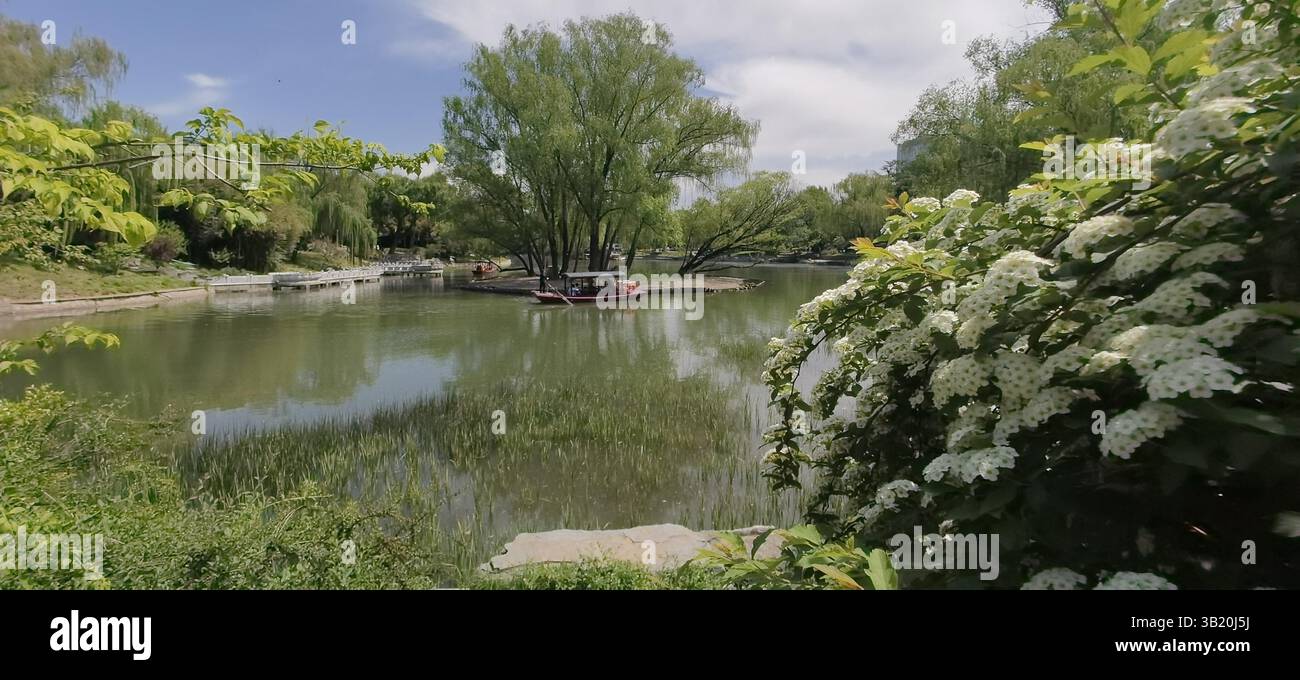 Spring scenery of the Purple Bamboo Park in Beijing, China, 25 April ...