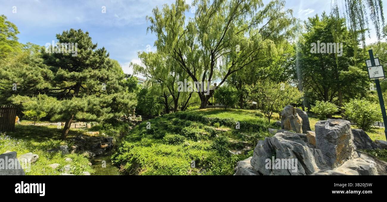 Spring scenery of the Purple Bamboo Park in Beijing, China, 25 April ...