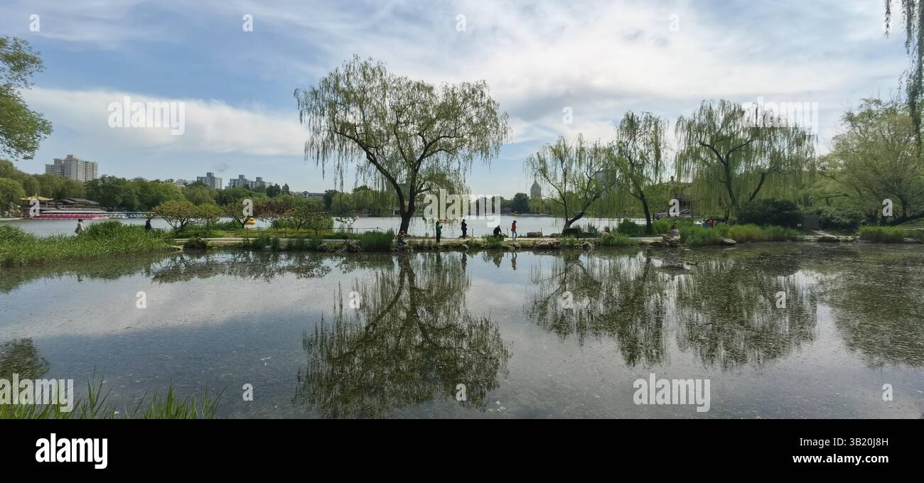 Spring scenery of the Purple Bamboo Park in Beijing, China, 25 April ...