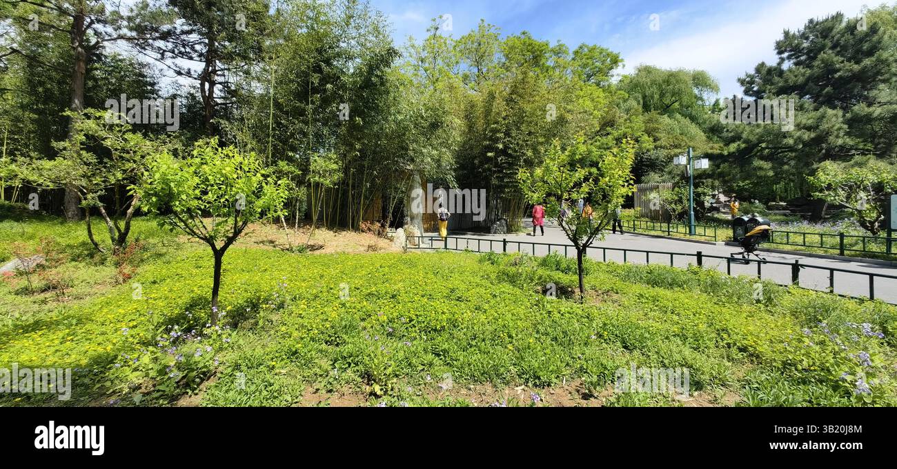 Spring scenery of the Purple Bamboo Park in Beijing, China, 25 April ...