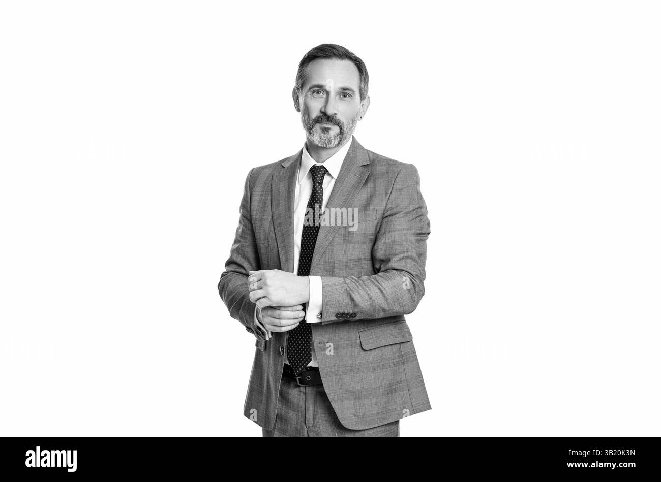 Businessman in suit. Mature businessman. Business boss portrait of ...