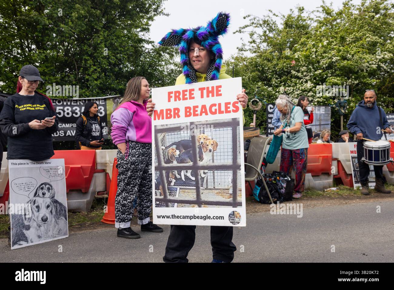 Huntingdon, UK. 26 APR, 2025. Person holds "Free the MBR Beagles" sign ...