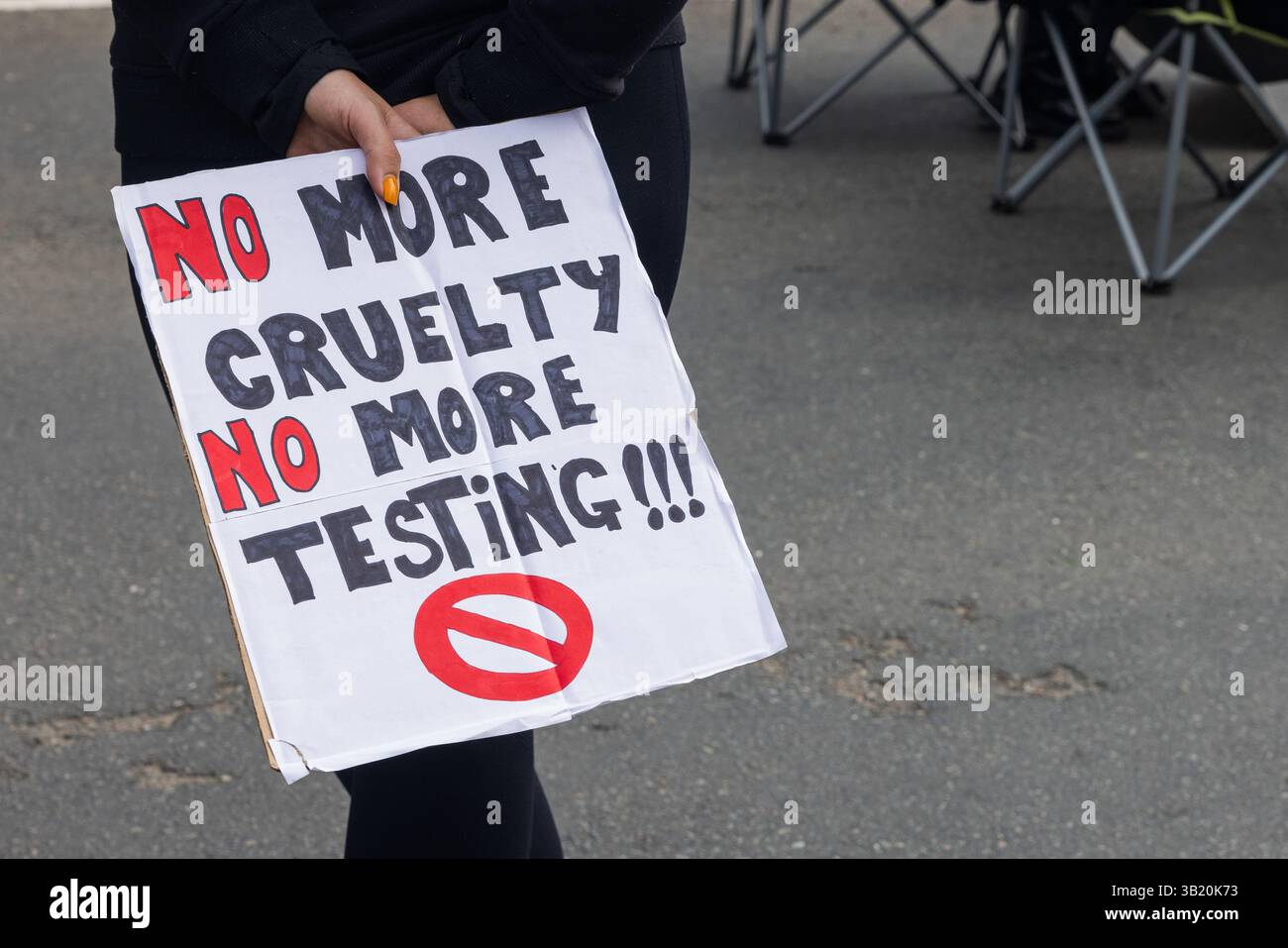 Huntingdon, UK. 26 APR, 2025. Person holds "No More Cruelty No more ...