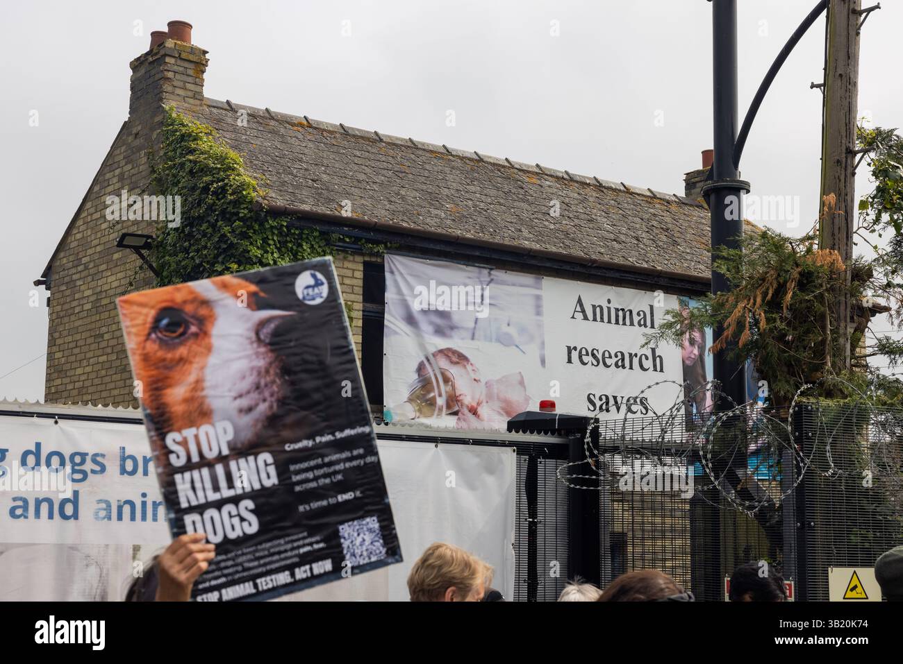 Huntingdon, UK. 26 APR, 2025. Person holds "Stop Killing Dogs" sign ...