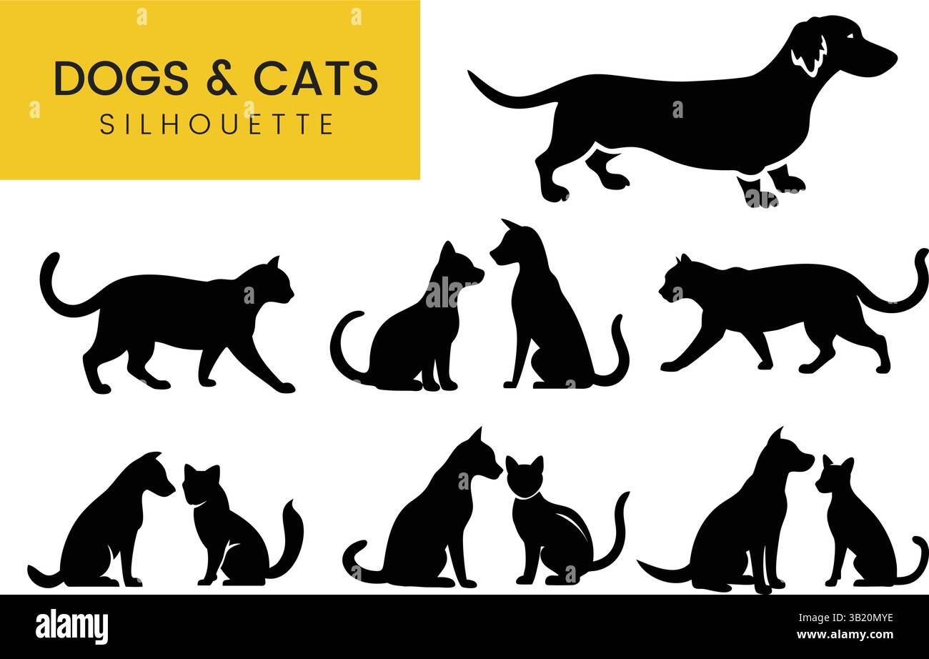 Elegant outline pet hi-res stock photography and images - Alamy