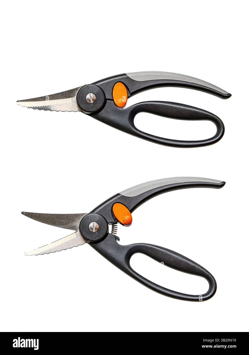 Seafood scissors on a transparent background shown in two positions ...