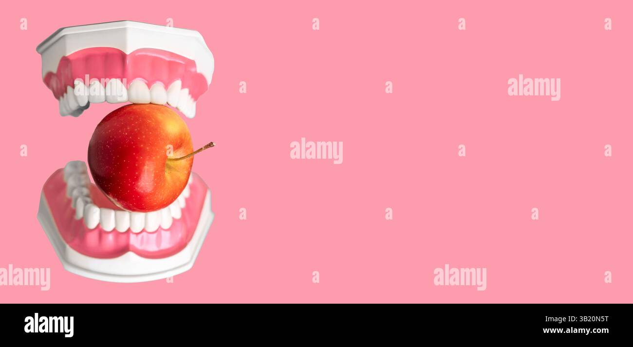 Dentistry concept. Artificial teeth biting red apple, symbol of healthy ...