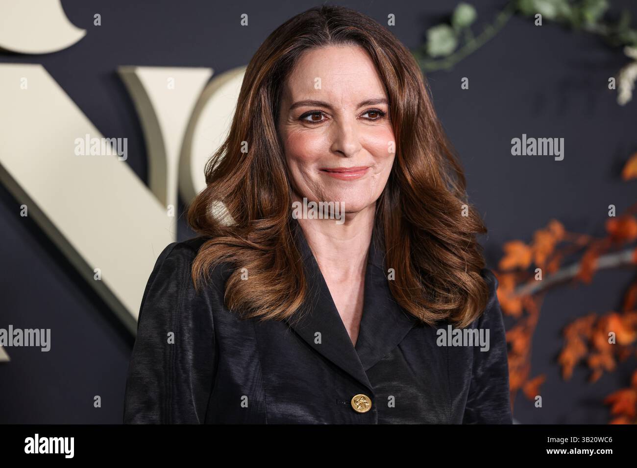 LOS ANGELES, CALIFORNIA, USA - APRIL 24: American actress and comedian ...
