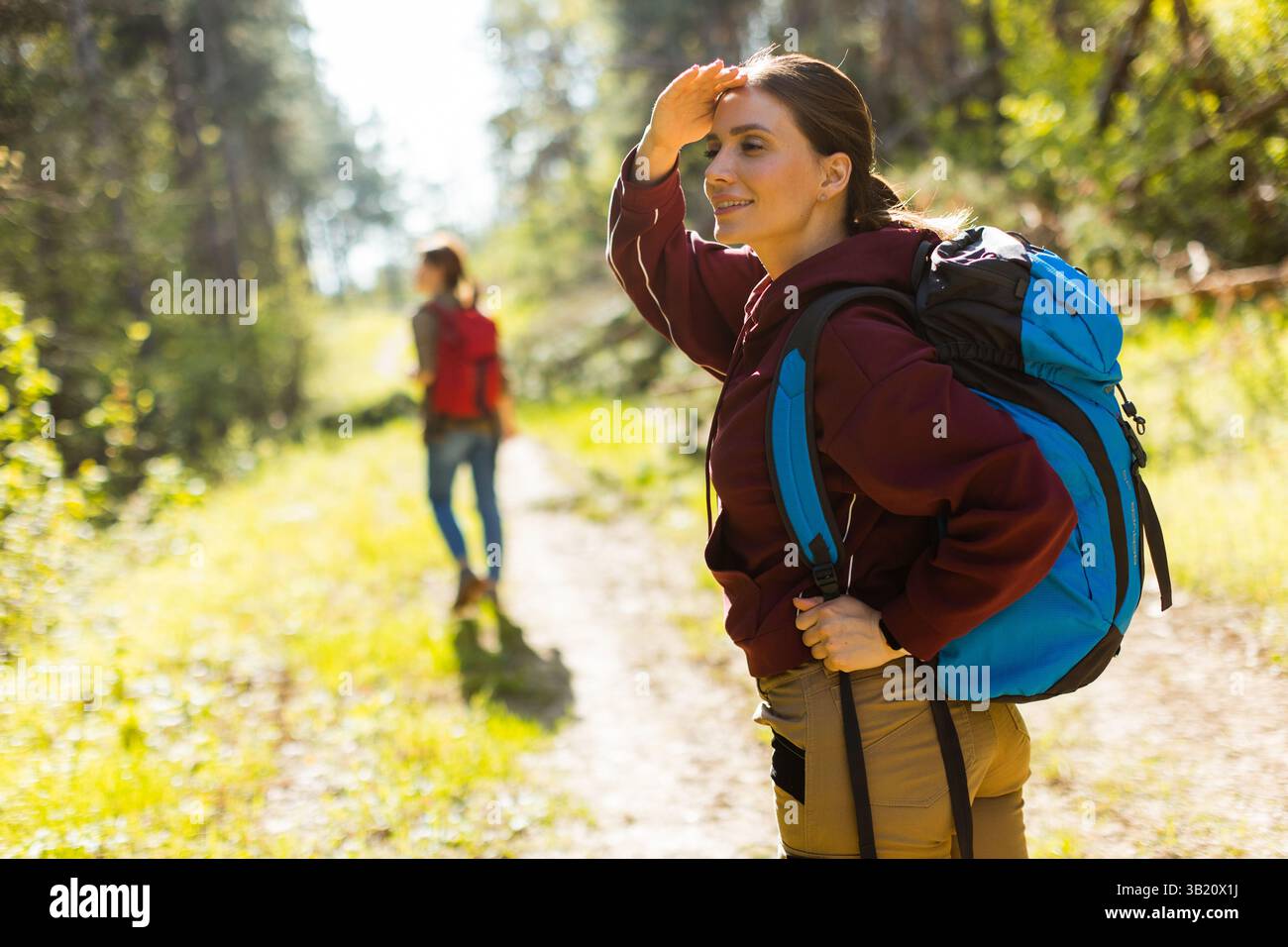 Two friends traverse a scenic forest path, soaking in the sunlight and ...
