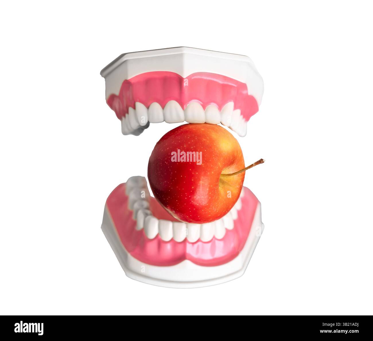Artificial teeth biting apple. Concept of strong denture, healthy mouth ...