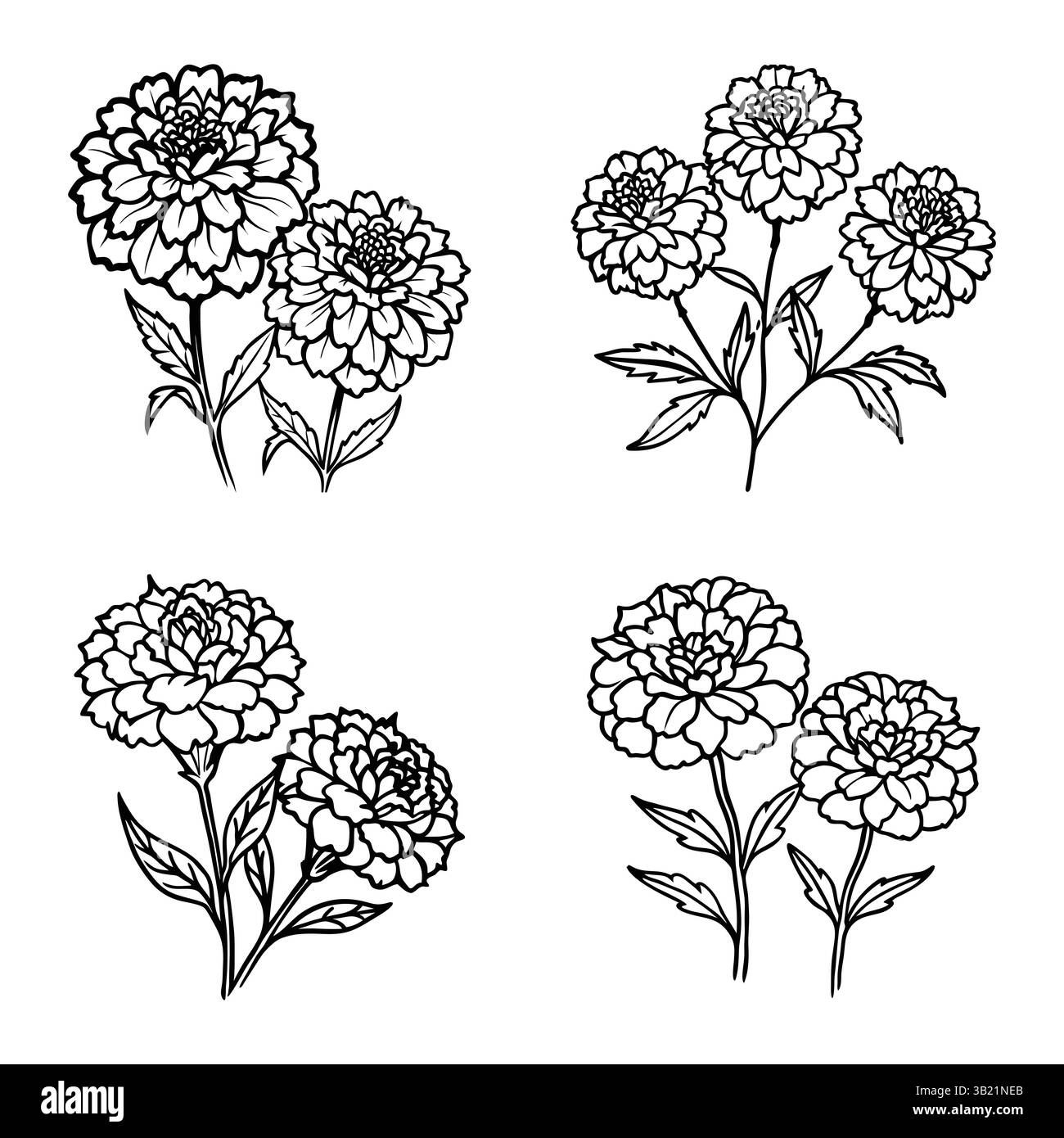Marigold Flower Vector Illustration – Black and White Nature Art Stock ...