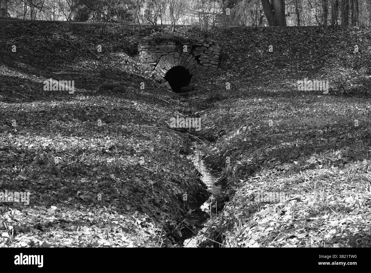 The black hole of an old brick drain with a small stream dividing the ...