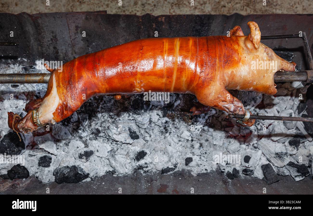 A young pig is roasted on a spit over coals Stock Photo - Alamy