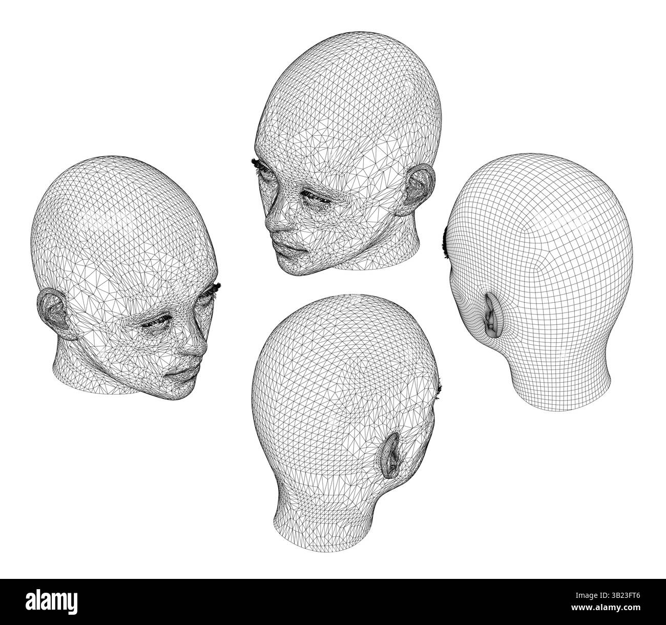 Anatomy model history Stock Vector Images - Alamy