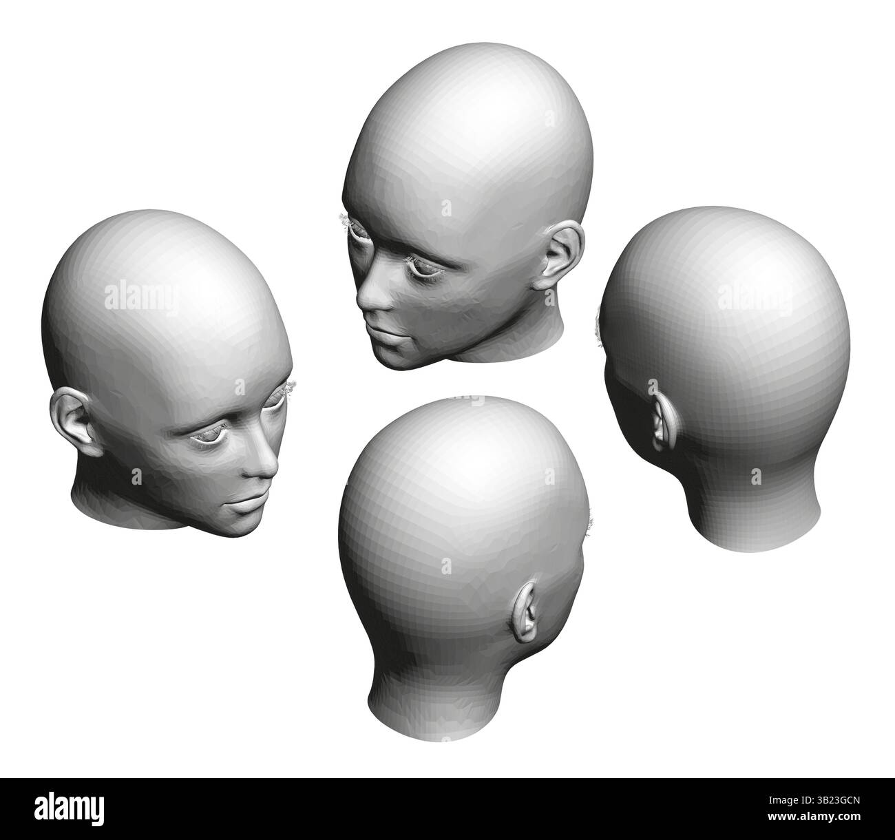 Four different views heads are shown in a row, each with a same ...