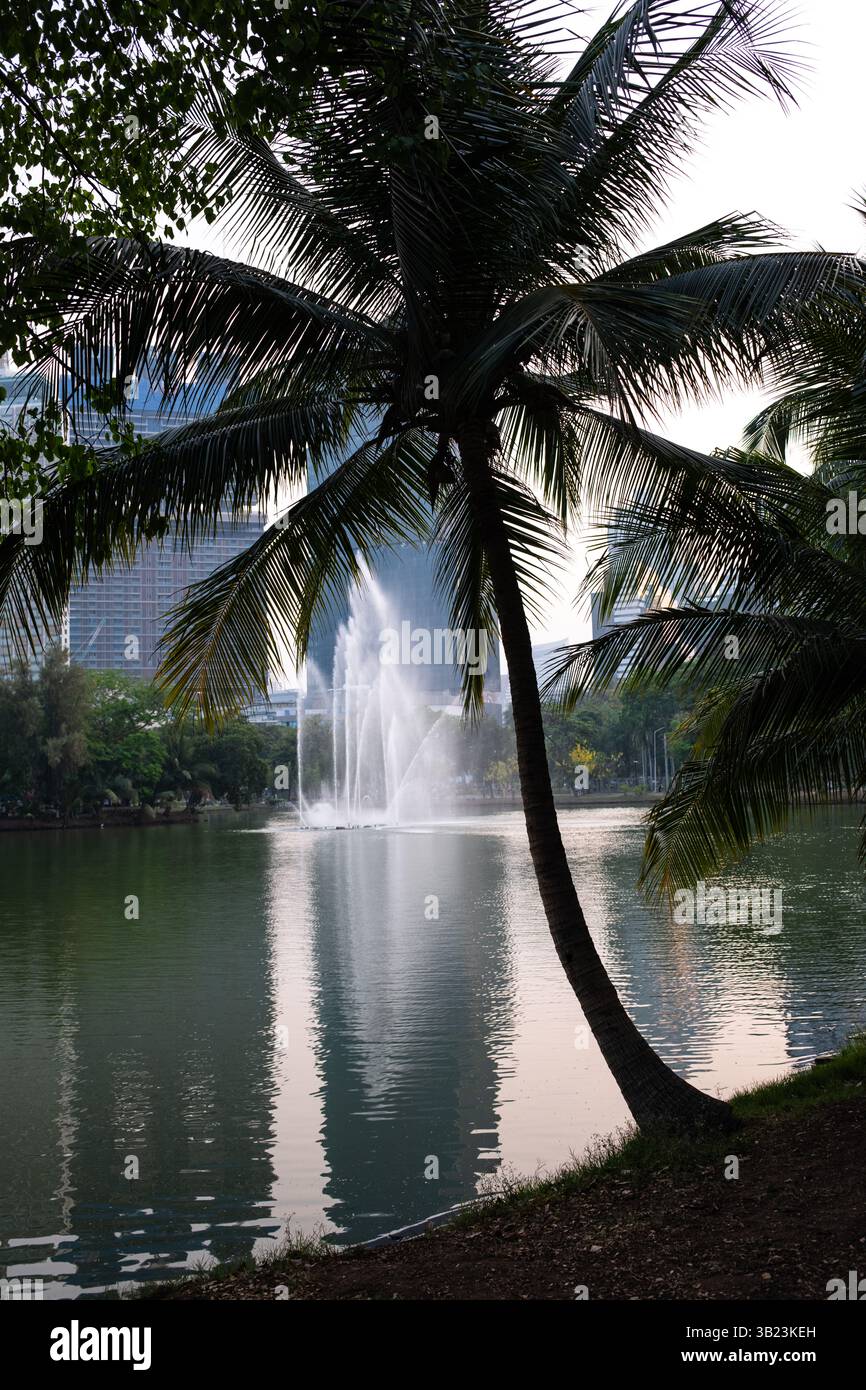 Fountain palm trees in bangkok hi-res stock photography and images - Alamy