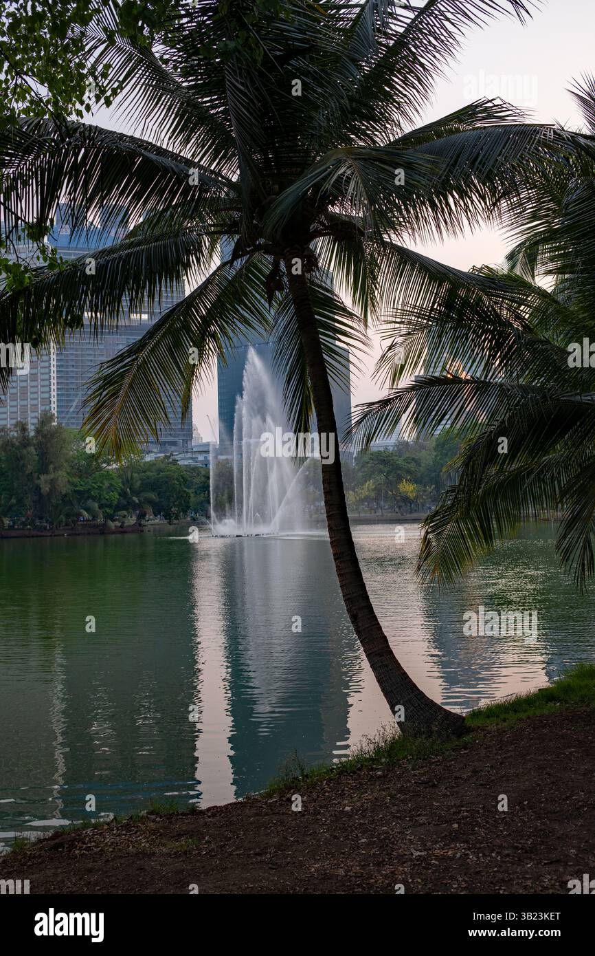 Lumphini Park Bangkok Thailand Stock Photo - Alamy