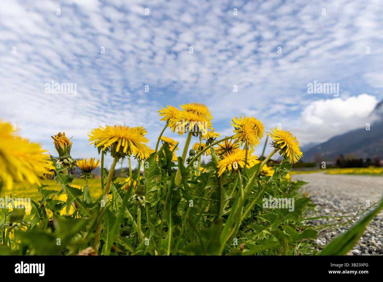 Sonne und Wolken in den Alpen Sonne und Wolken wechseln sich am Himmel ...